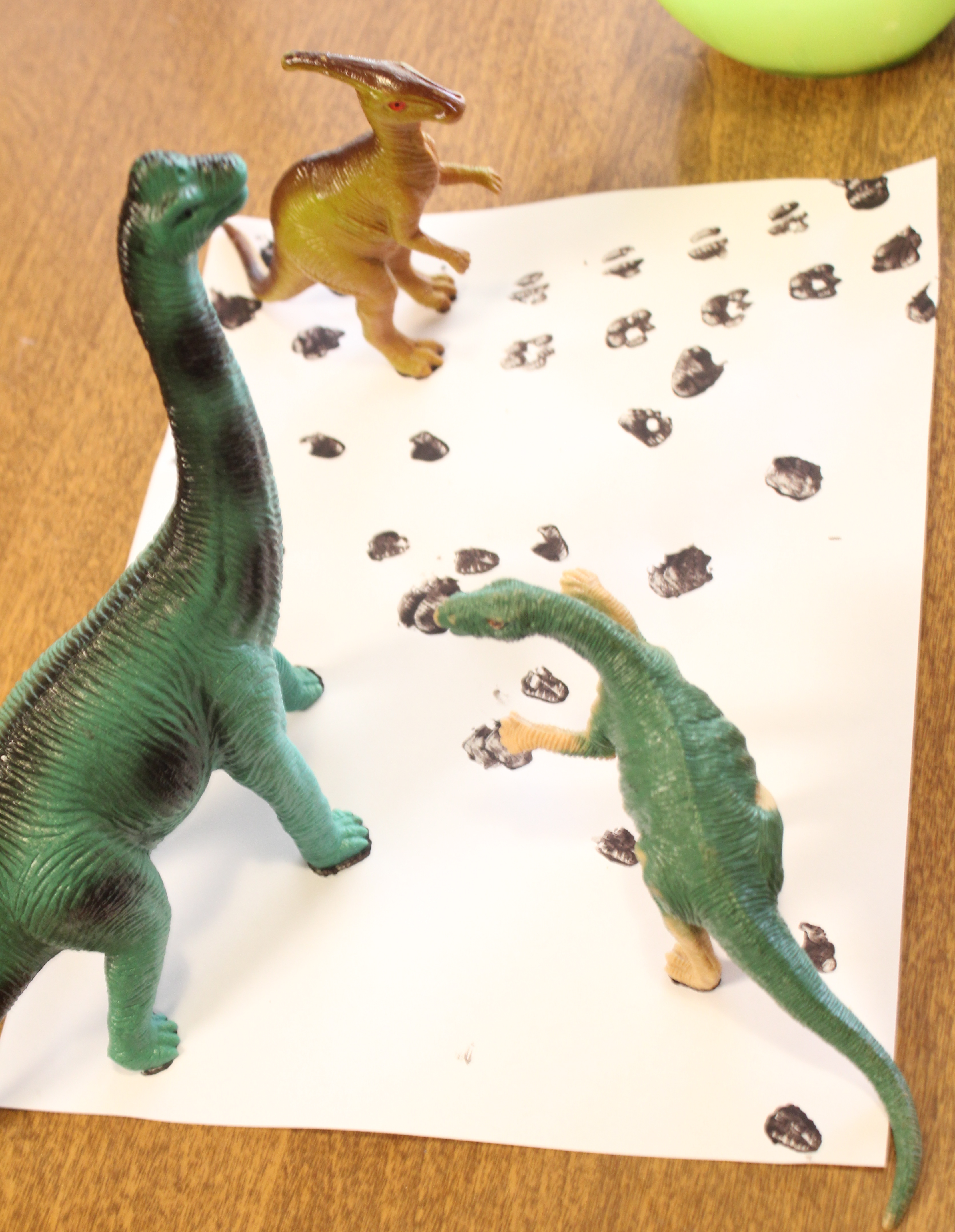 Dinosaur Tracks Matching Activity Mom Endeavors