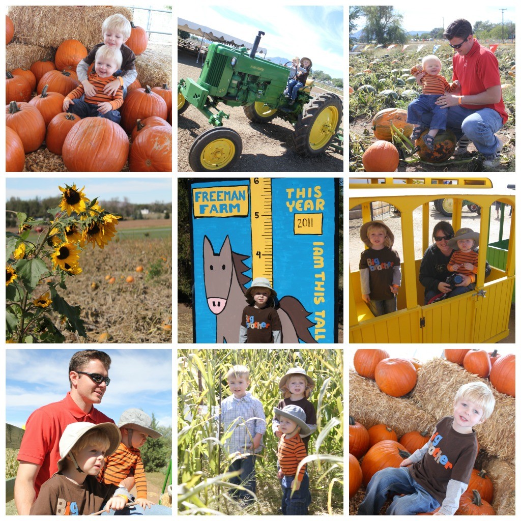 Fun Fall Festivals & Pumpkin Patches around Arizona - Mom Endeavors